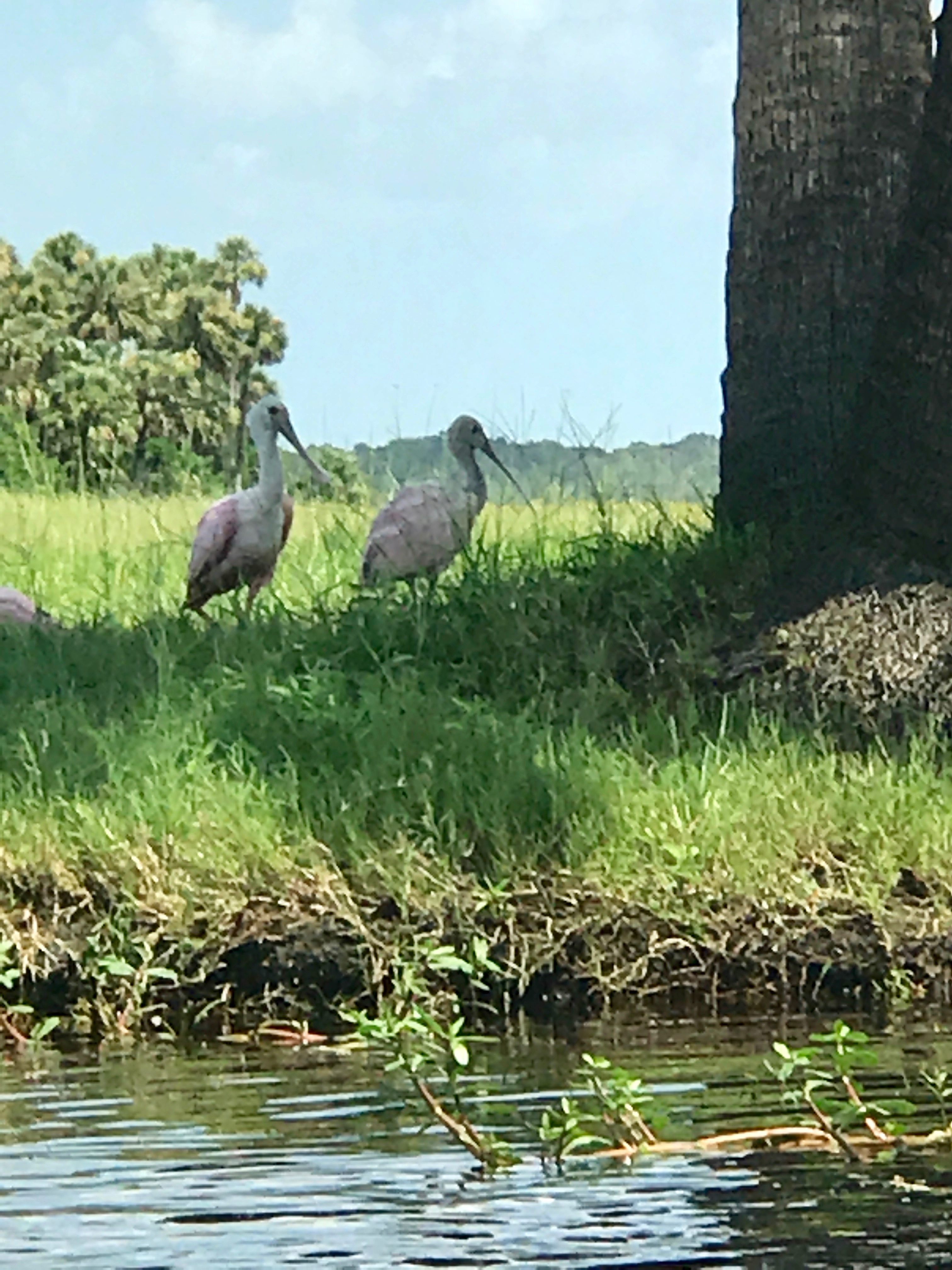 Random Pictures of Nature – The Casual Outdoorsman