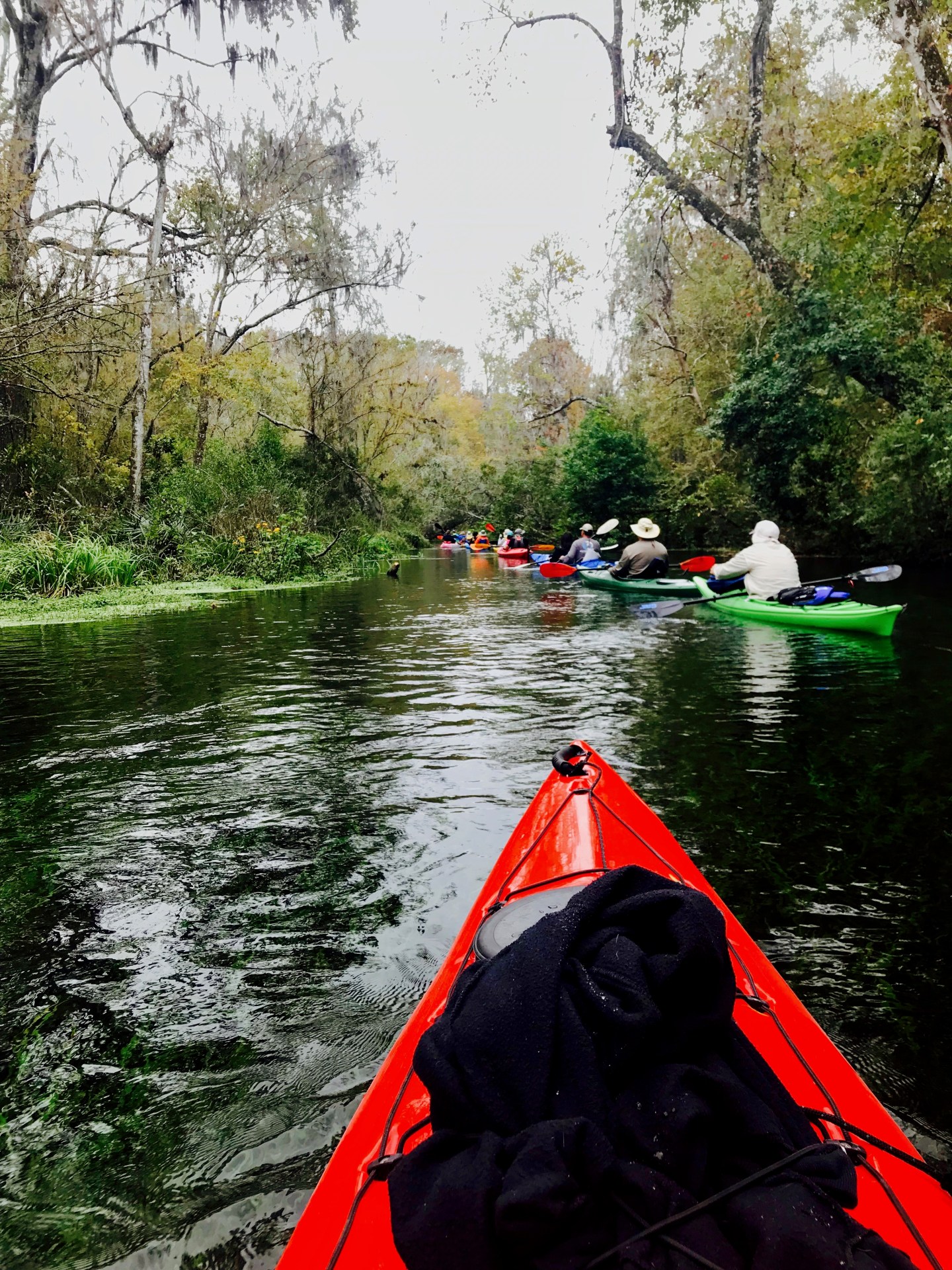 The Incomparable Ichetucknee River – The Casual Outdoorsman