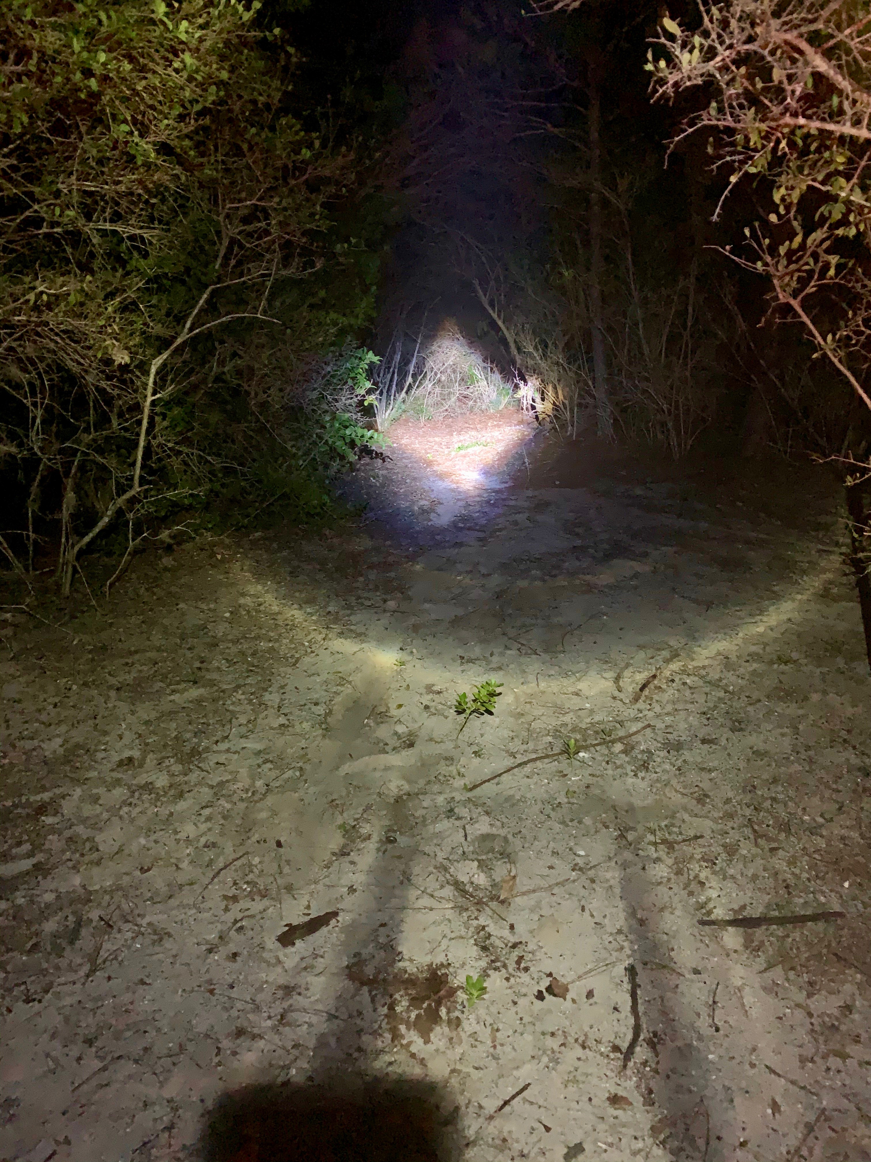 DanForce Headlamp Review : The Best Head Light I Have Ever Used. – The ...